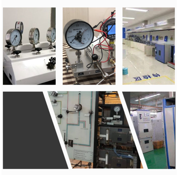 YNTP-60BF Stainless Steel Pressure Gauge