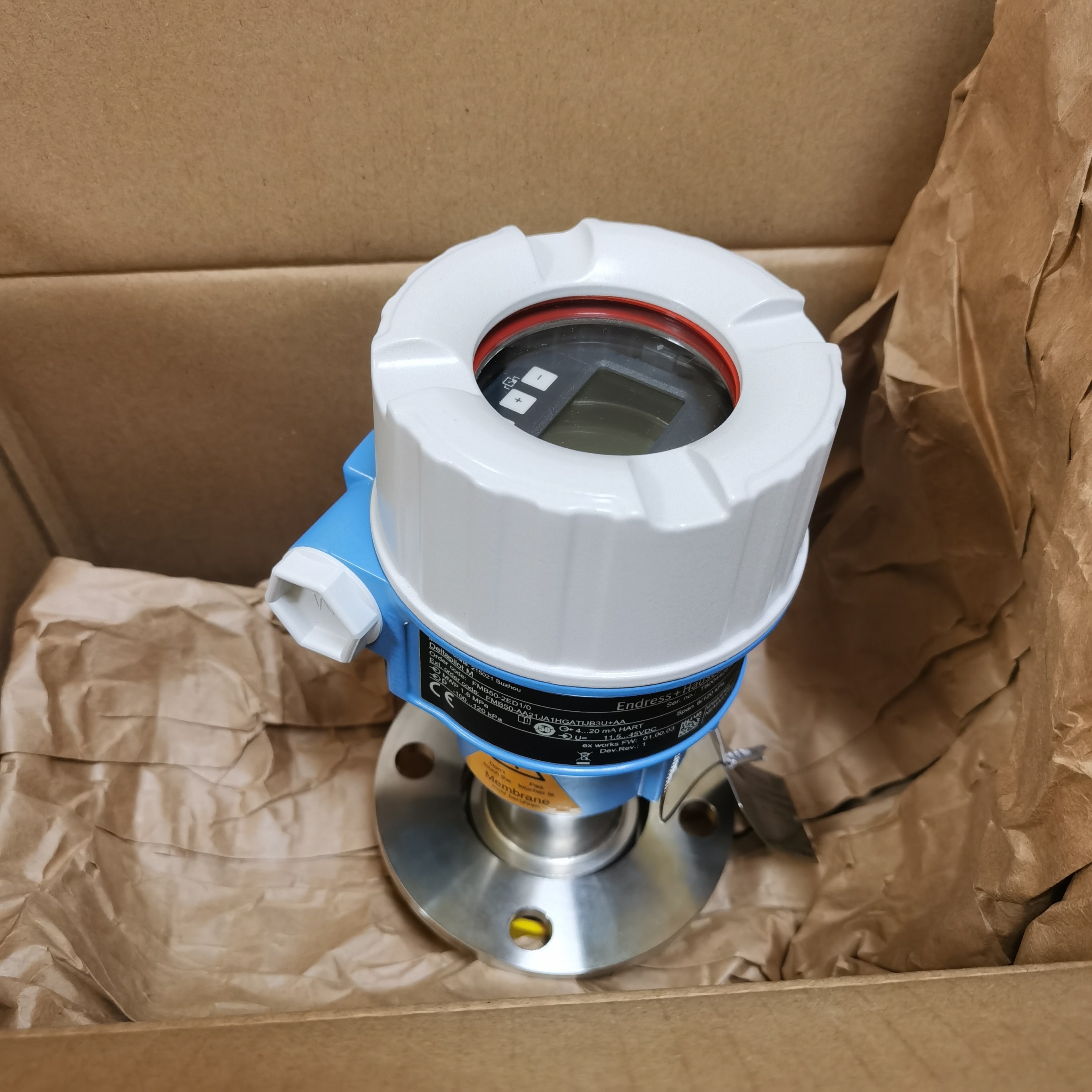 E+H Deltapilot M FMB50, FMB51, FMB52, FMB53 Pressure Transmitter For ...