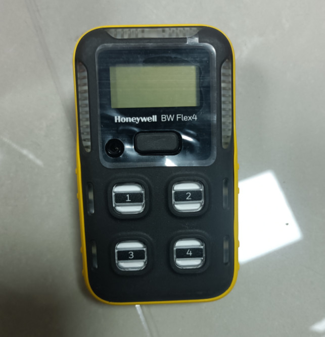 IP66/68 Ingress Protection Gas Detector BW Flex 4 Honeywell H2S CO 02 ...