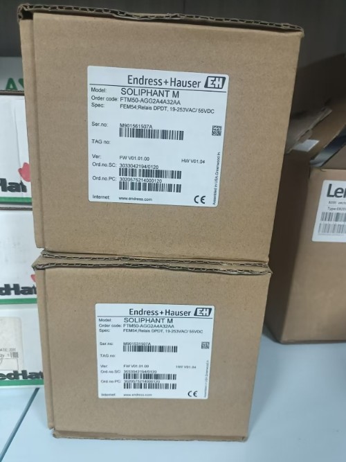 Endress+Hauser Soliphant FTM50-AGG2A4A32AA Series Point Level Switch ...