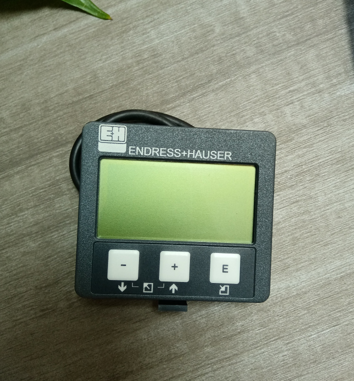 Endress+hauser Digital Panel Display Module 0.5% Accuracy